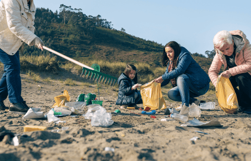 How to Celebrate World Environment Day: Activities and Ideas – Brown ...