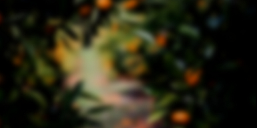 Artistic Mess on Brown Living™