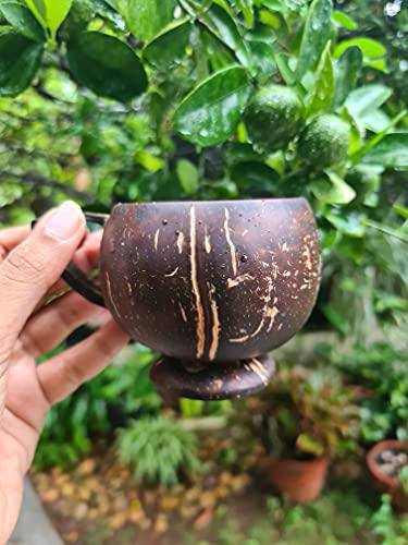 Buy Coconut Teacup - Natural & Handmade 200 ml | Set of 2 Online on ...