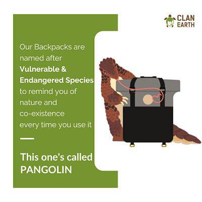 Buy Pangolin Rolltop Backpack - Daily Carry and Travel Backpack ...