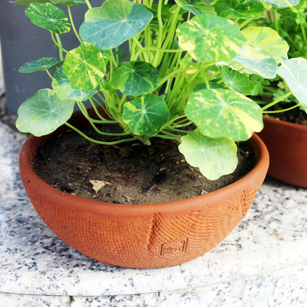 Shallow Jute Textured Terracotta Planter- Set of 2 by CraftLipi – Brown ...