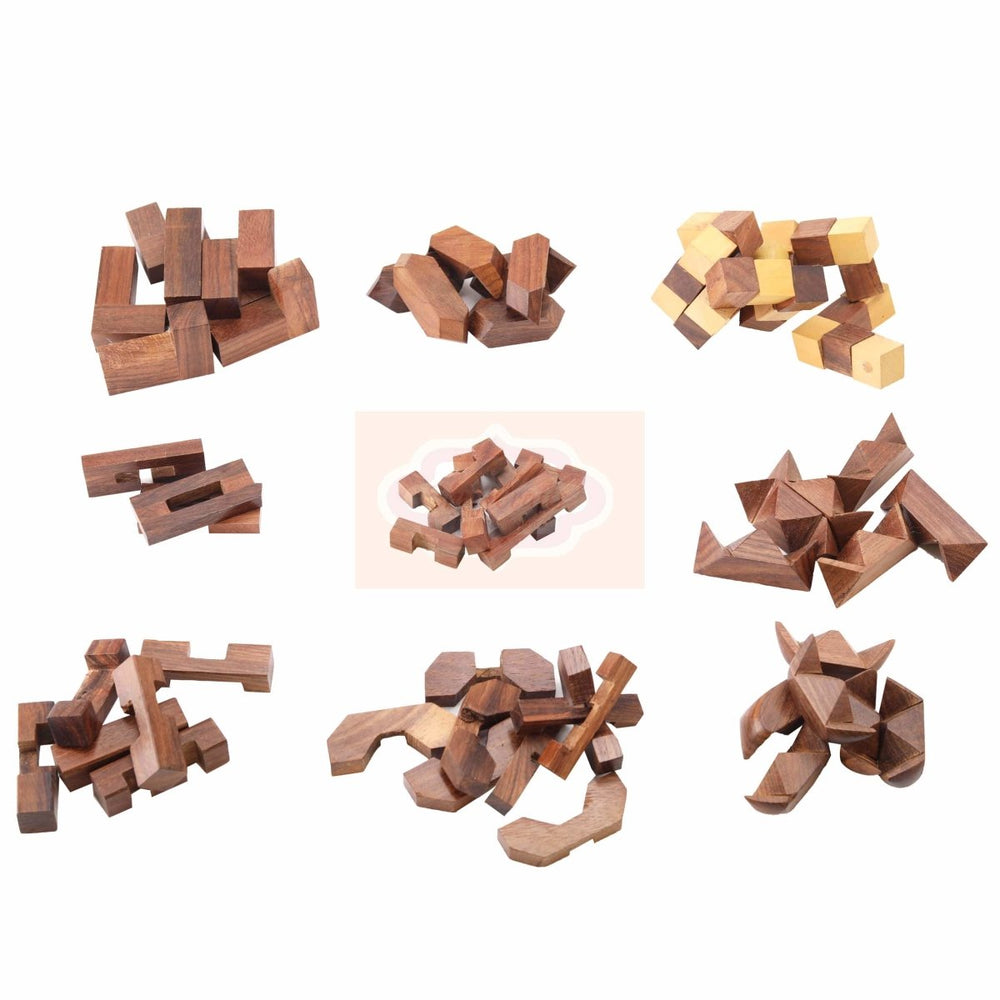 STEM Brain Teaser Puzzle Set, 9 Wooden Mechanical Puzzles by ...